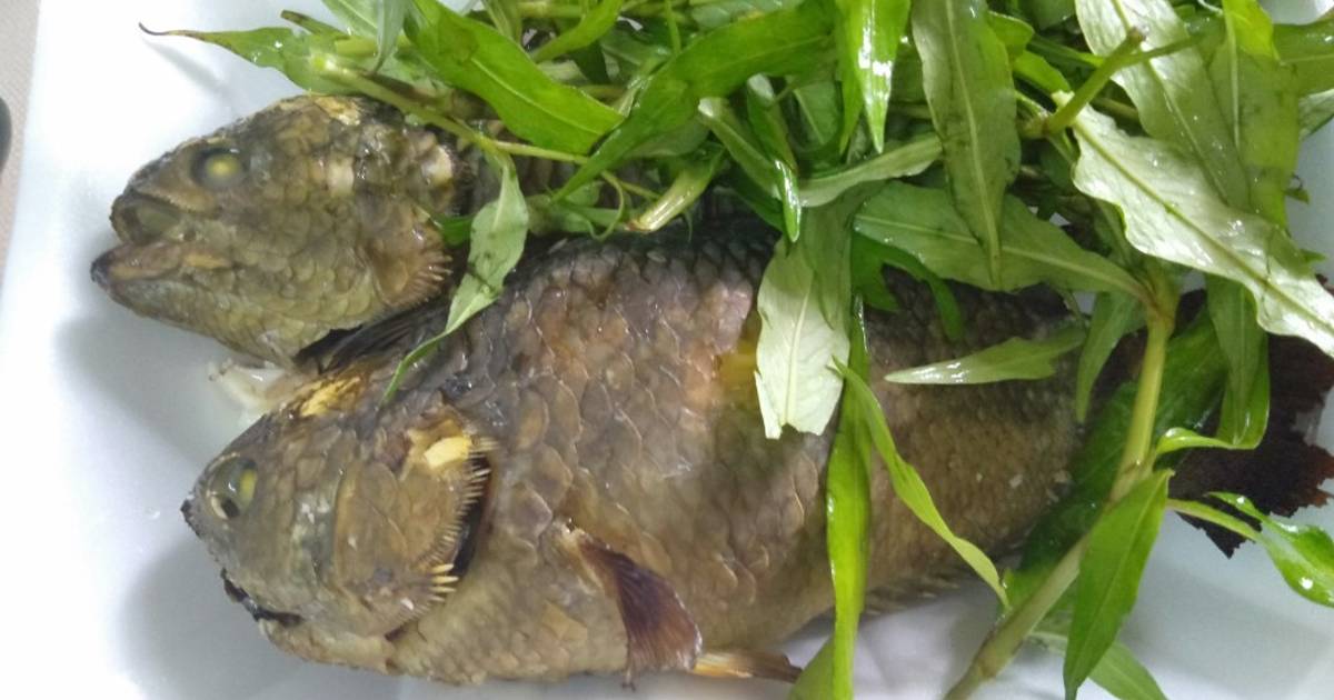 8 món cá rang muối thơm ngon, đa dạng và dễ làm tại nhà - Cookpad