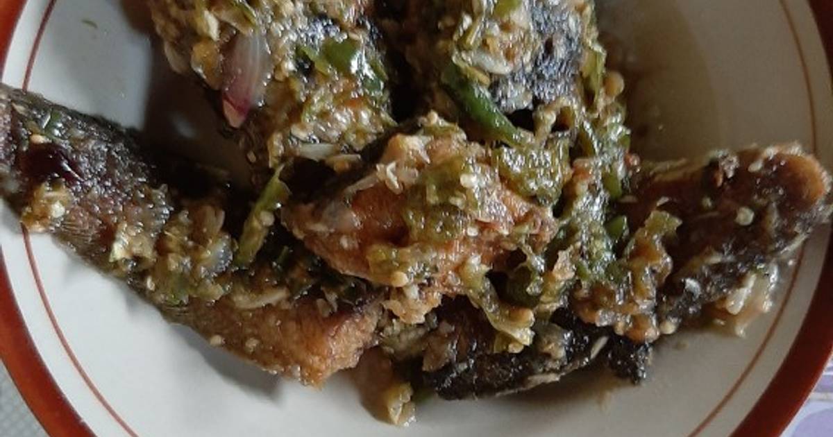 62 resep lele sambal hijau enak dan sederhana ala rumahan - Cookpad