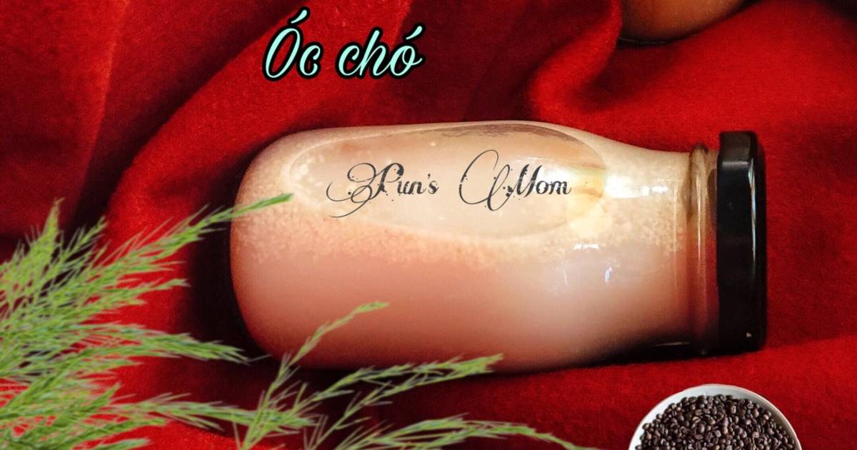 Cách Làm Món Sữa quinoa đậu lăng đỏ óc chó của Pun’s Mom - Cookpad