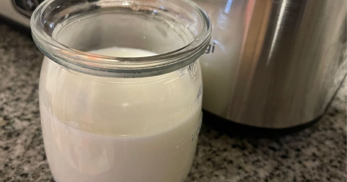 Yogurt En Yogurtera Winco Receta de Miriam Espinosa- Cookpad