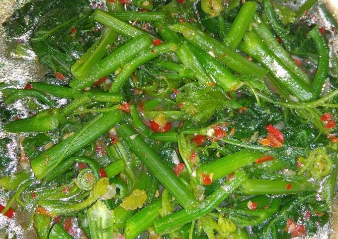 Resep Tumis Pucuk Daun Waluh Labu Kuning Oleh Reismi Hardiyanti Cookpad