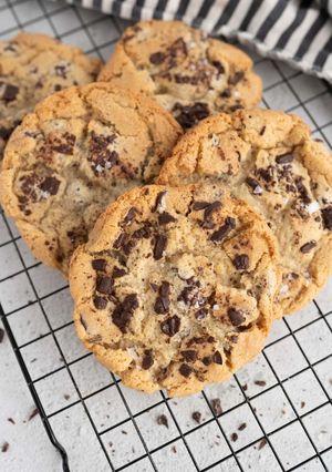 Sally’s Homemade Chocolate Chip Cookies Recipe by Sarah Hertzpepule ...