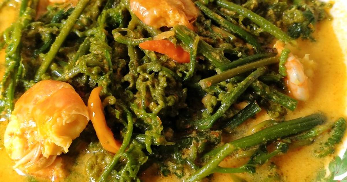 Resep Gulai Daun Pakis oleh Dini Ainun Fatma - Cookpad