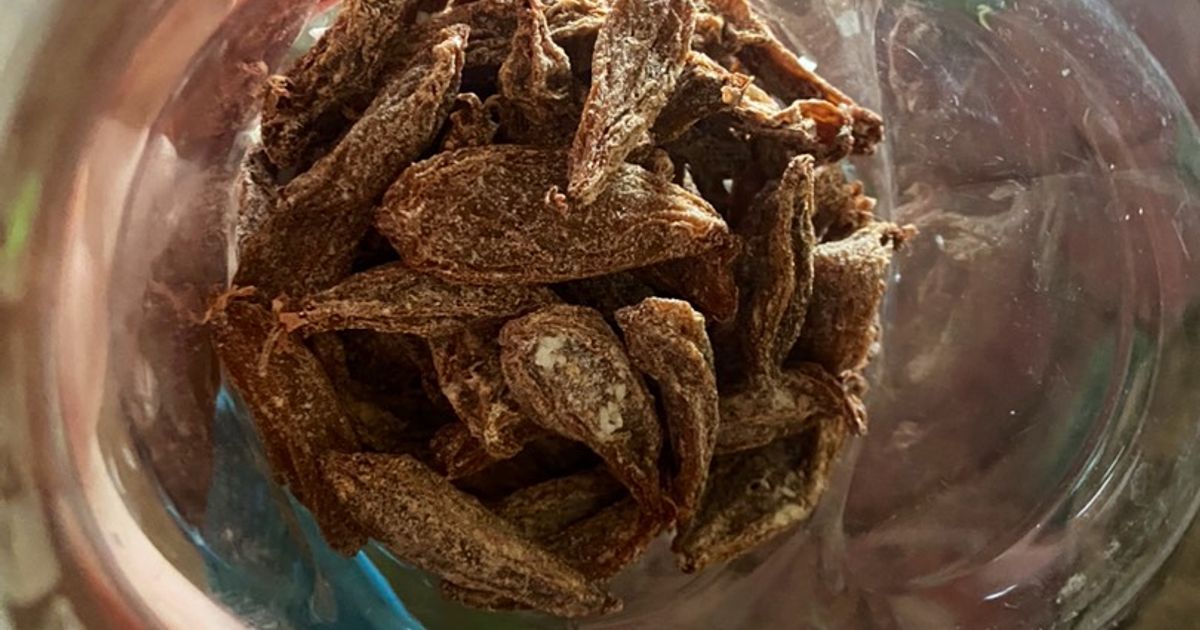 Resep Asam Sunti Khas Aceh oleh diah ayuni ariawan - Cookpad
