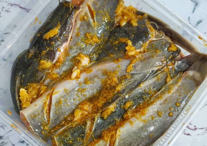 Resep Meal Preps : Lele Marinasi oleh Ellaelloet - Cookpad