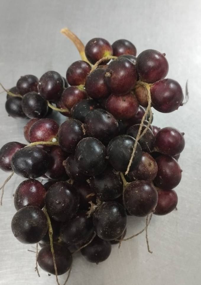 El corozo o frutillas silvestres Receta de AGRIPINA PICON PACHECO- Cookpad