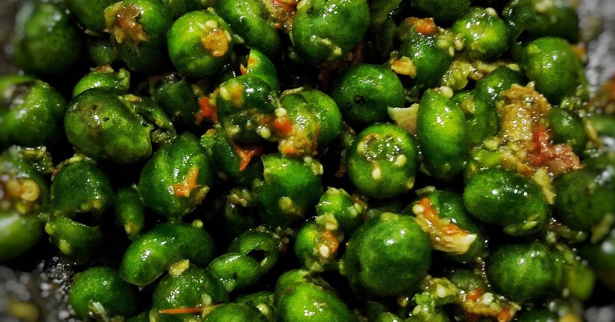 Resep Pencok Leunca oleh Ummu Rashdan - Cookpad