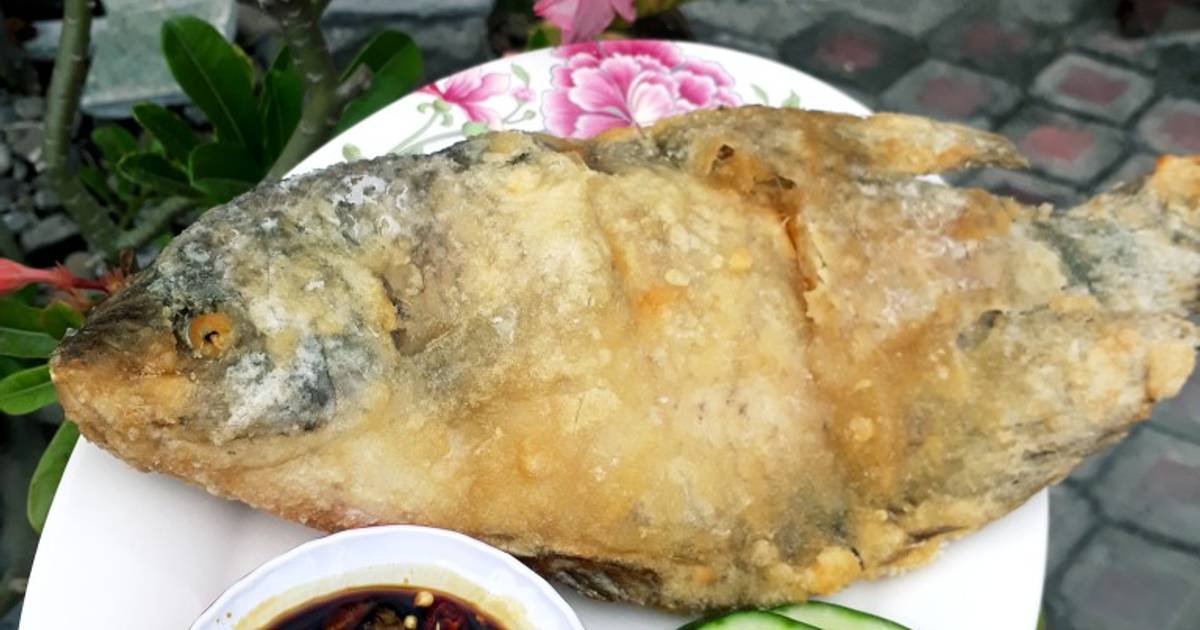 Resep Gurami Goreng Tepung Tapioka oleh Cut Listiya - Cookpad Resep Gurami Goreng Tepung Tapioka oleh Cut Listiya - Cookpad