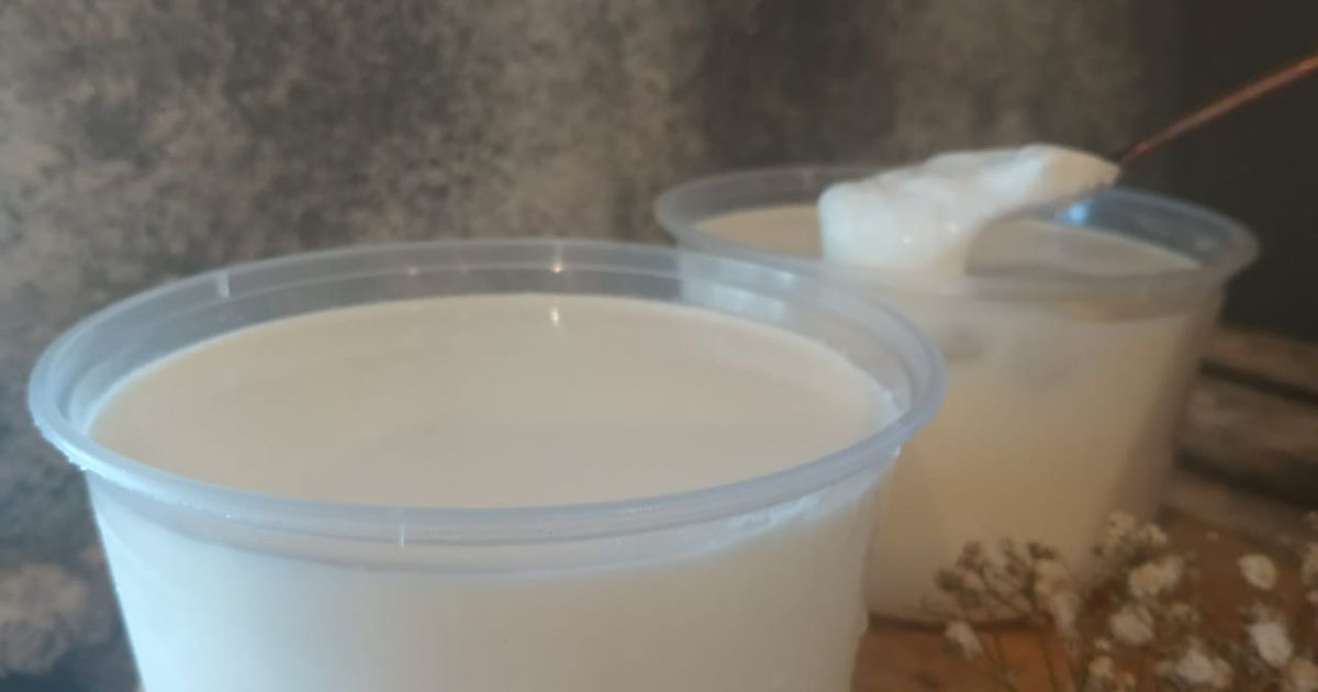 Resep Yoghurt Plain | Homemade oleh None - Cookpad