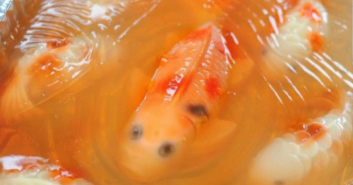 Resep Puding ikan Koi (Koi Fish Jelly) oleh Xian_cookingdiary - Cookpad