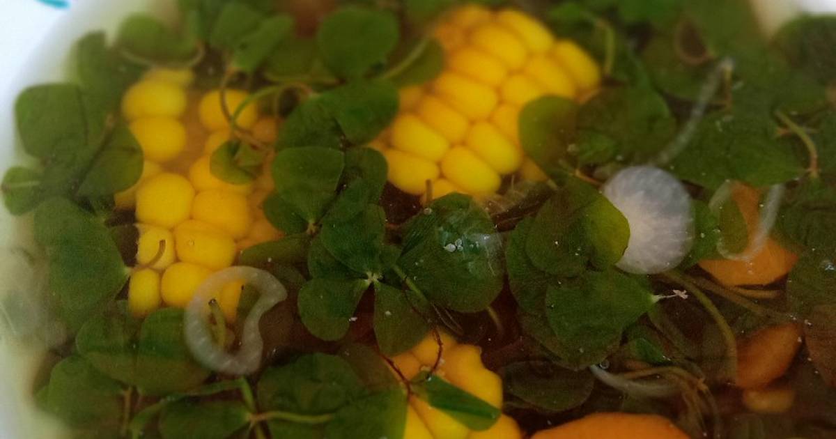 19 resep sayuran semanggi enak dan sederhana ala rumahan - Cookpad