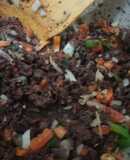 Recetas con moronga: tradicionales, mexicanas, en tacos y más cocina ...