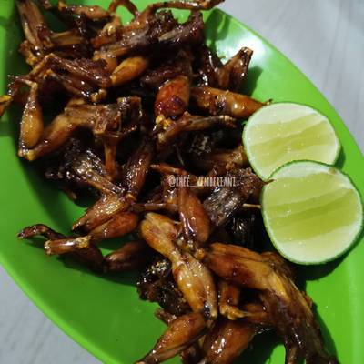 Resep Kodok Goreng Mentega #1 oleh Rhee - Cookpad