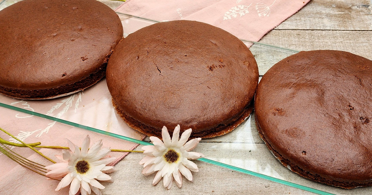 🍫Bizcochuelo Chocolatoso Esponjoso Y Húmedo Chocolate De Taza + Cacao ...