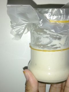 Resep Sourdough Starter / Ragi Alami oleh Isnawati - Cookpad