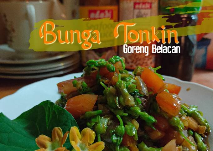 Resipi Bunga Tonkin Goreng Belacan oleh Zleq Kha - Cookpad