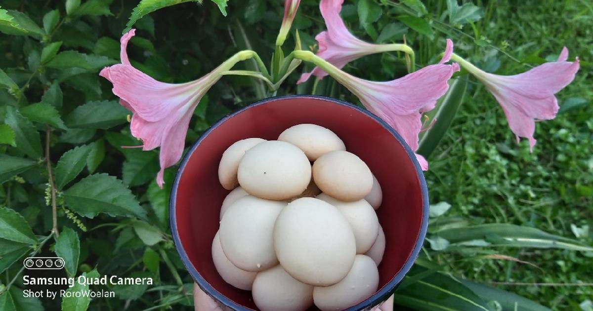 Resep Egg drop cookies oleh Roro Woelan - Cookpad