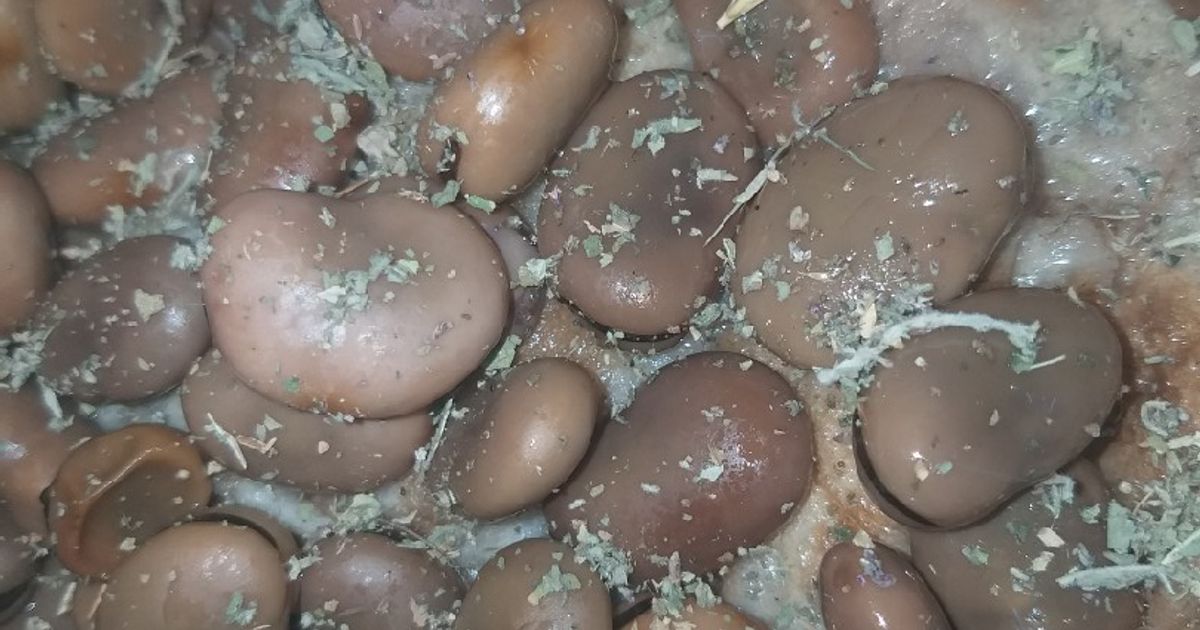 طريقة عمل الباقلاء بالدهن العراقية من Reem.f.saber - كوكباد