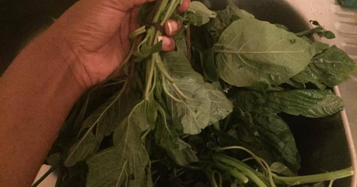 Managu ugali Recipe by Gleam Kimathi - Cookpad