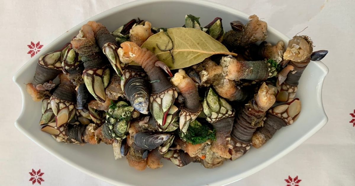 Barnacles Recipe by Lucia Salcidos - Cookpad
