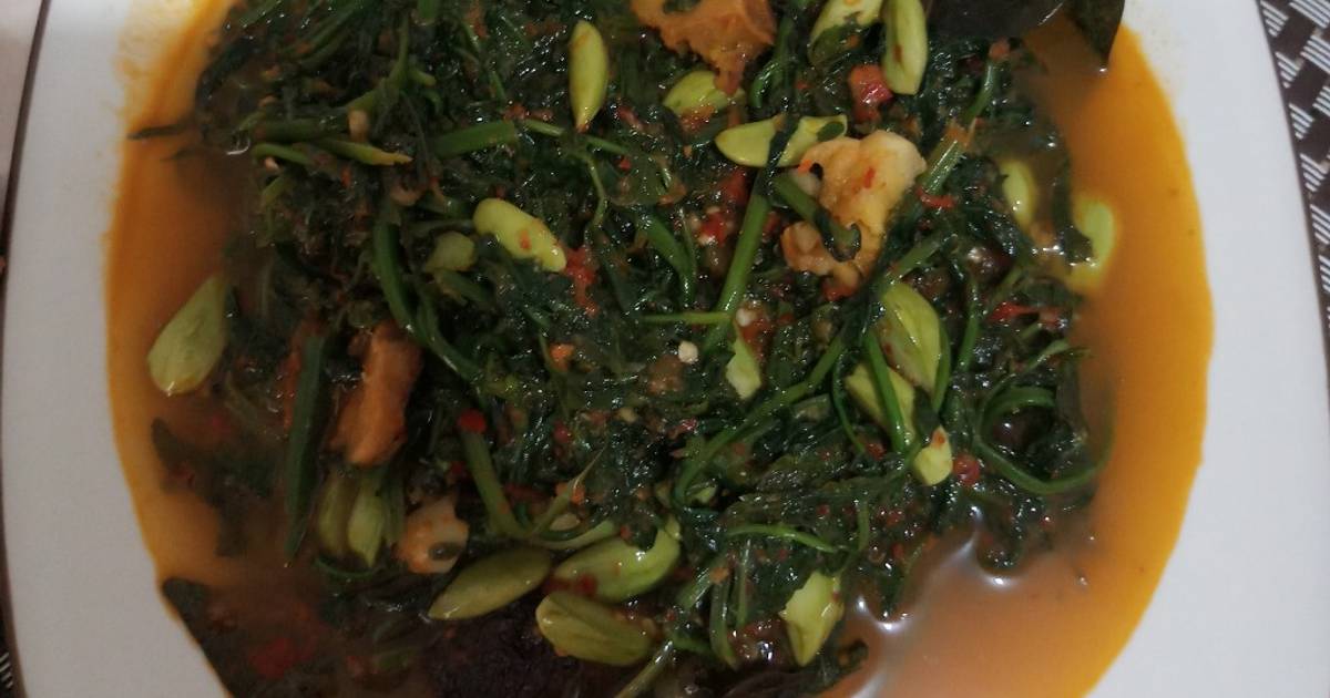 710 resep tumis pakis enak dan sederhana - Cookpad