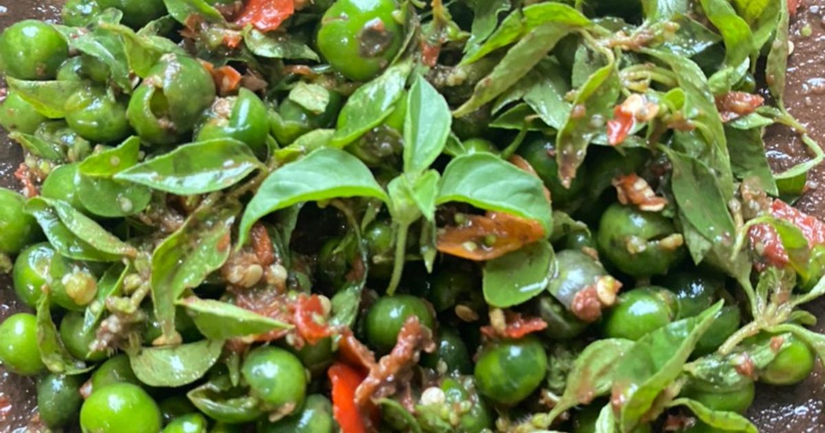 Resep Pencok Leunca Khas Sunda oleh Kiki Patmawati - Cookpad
