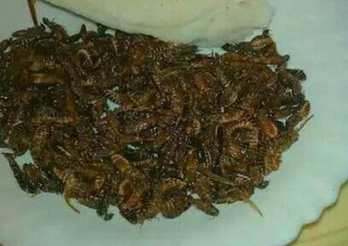 Roasted Termites With Ugali Recipe by Emily Ogolla - Cookpad