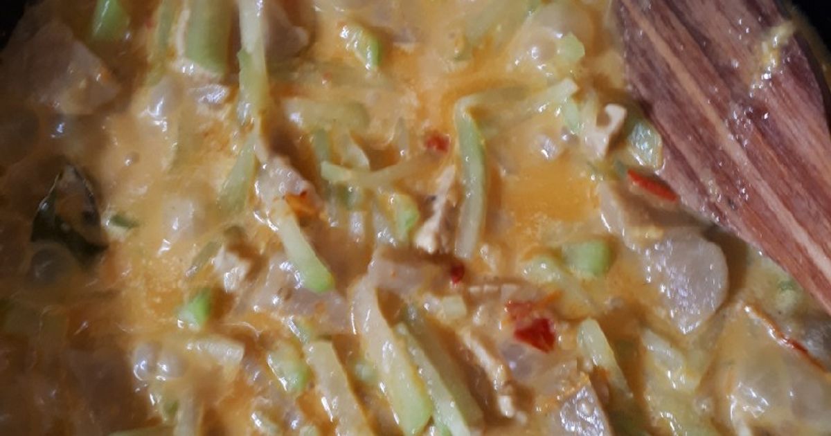 Resep Sayur Lodeh Labu Siam, Tempe, Bakso oleh Fara Chusna - Cookpad