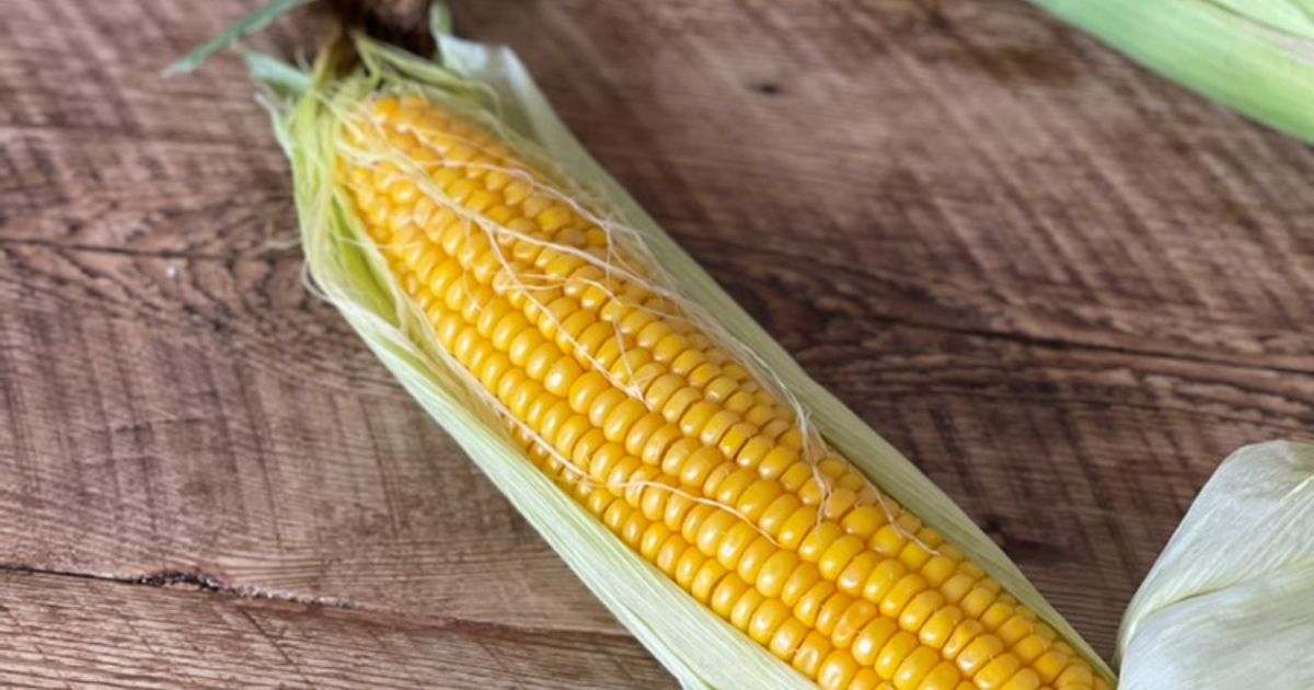 🌽 How To Steam Sweet Corn On The Cob With Microwave In 5 Min Recipe by ...