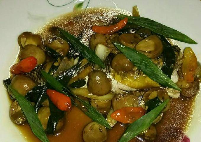 Resep Ikan Tim Tio Ciu : Tim Ikan Kakap (Cina) - Resep Kuliner ...