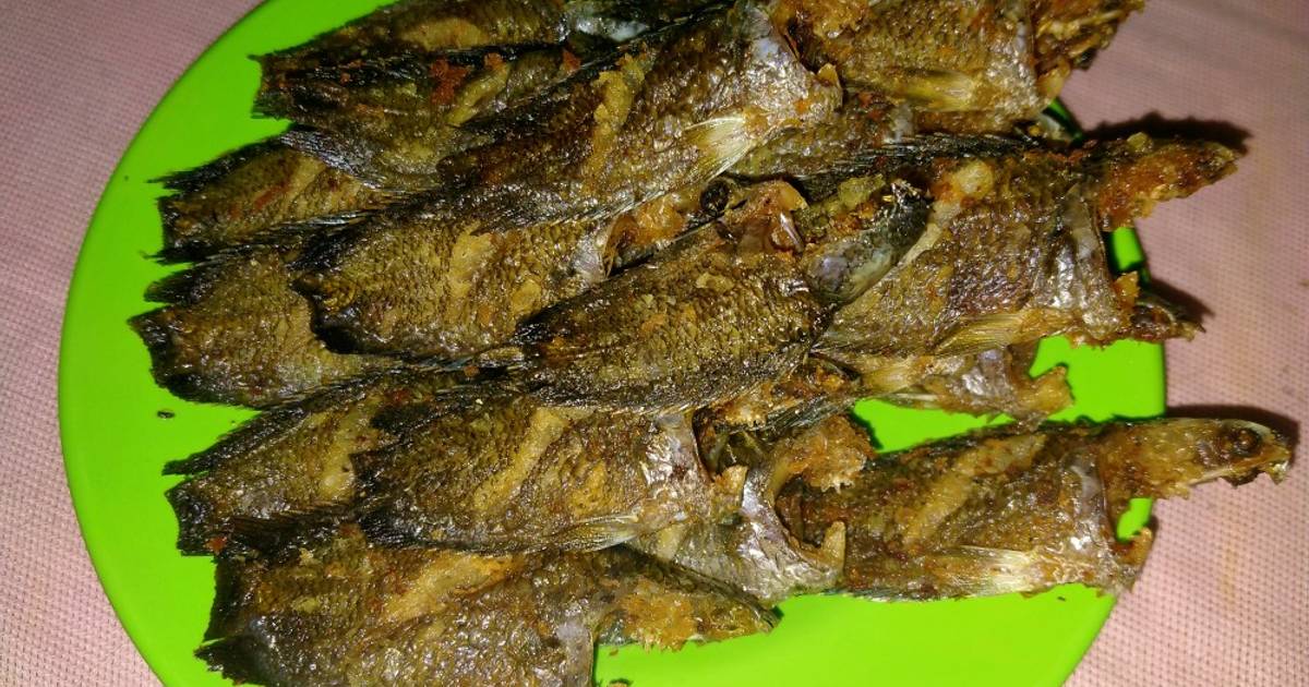 67 resep ikan papuyu enak dan sederhana - Cookpad