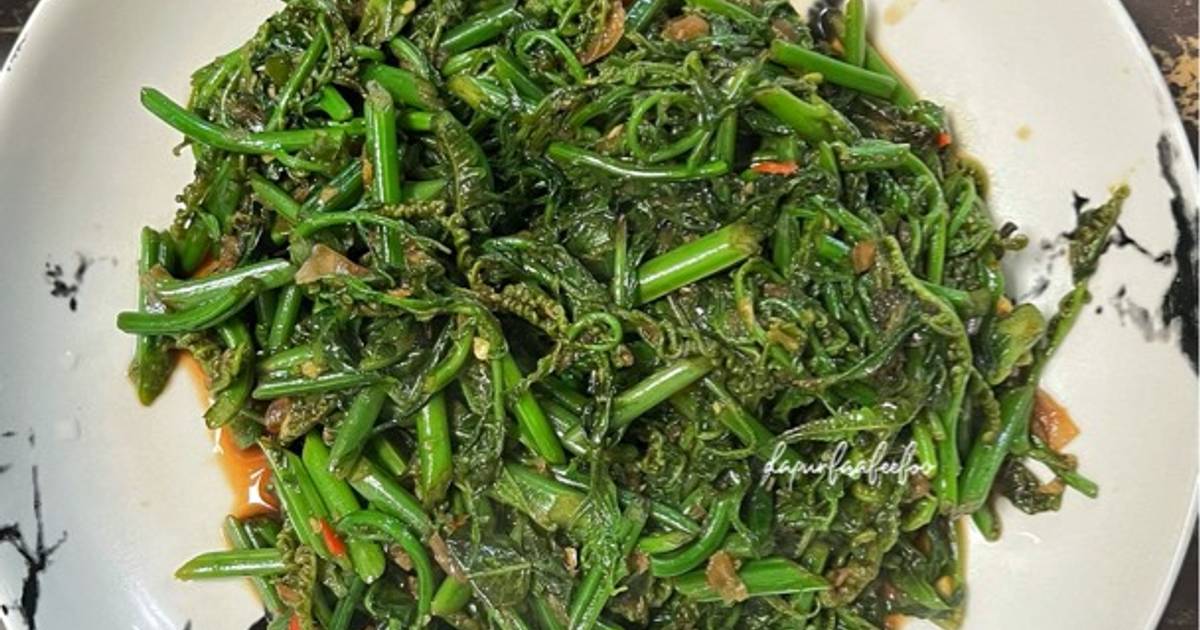 Temui cara memasak pucuk paku yang paling sedap & mudah!