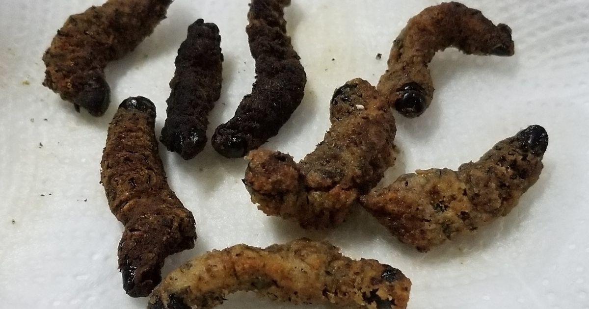 Fried Mopane Worm Recipe by misato - Cookpad