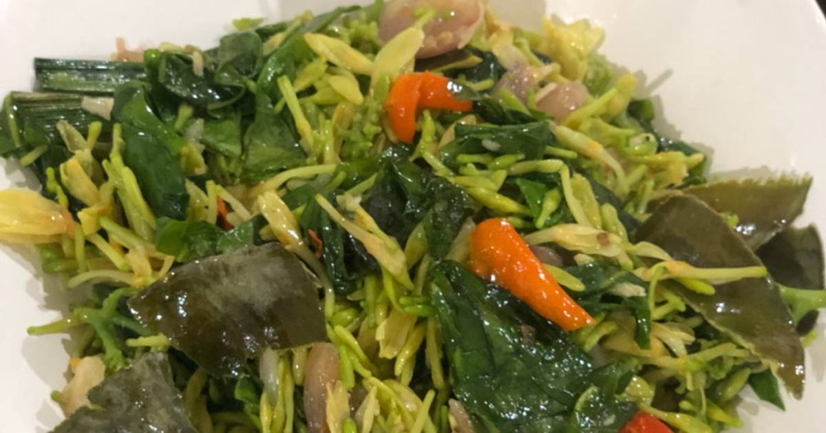 90 resep bunga melinjo enak dan sederhana - Cookpad