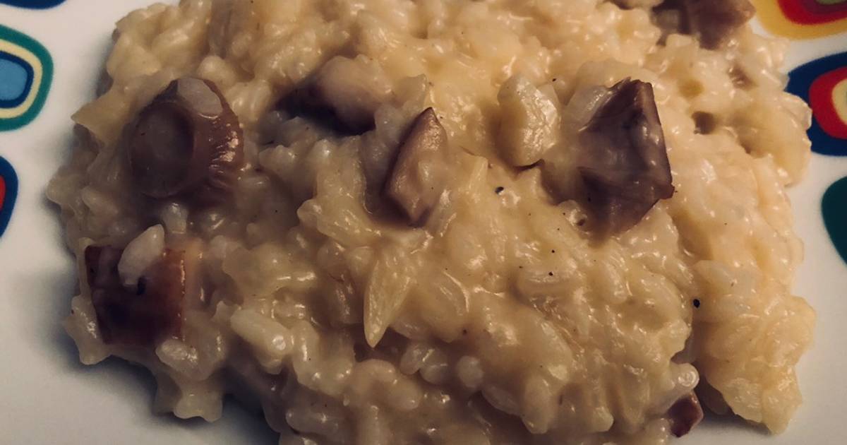 Explora recetas únicas con fredolics que te sorprenderán