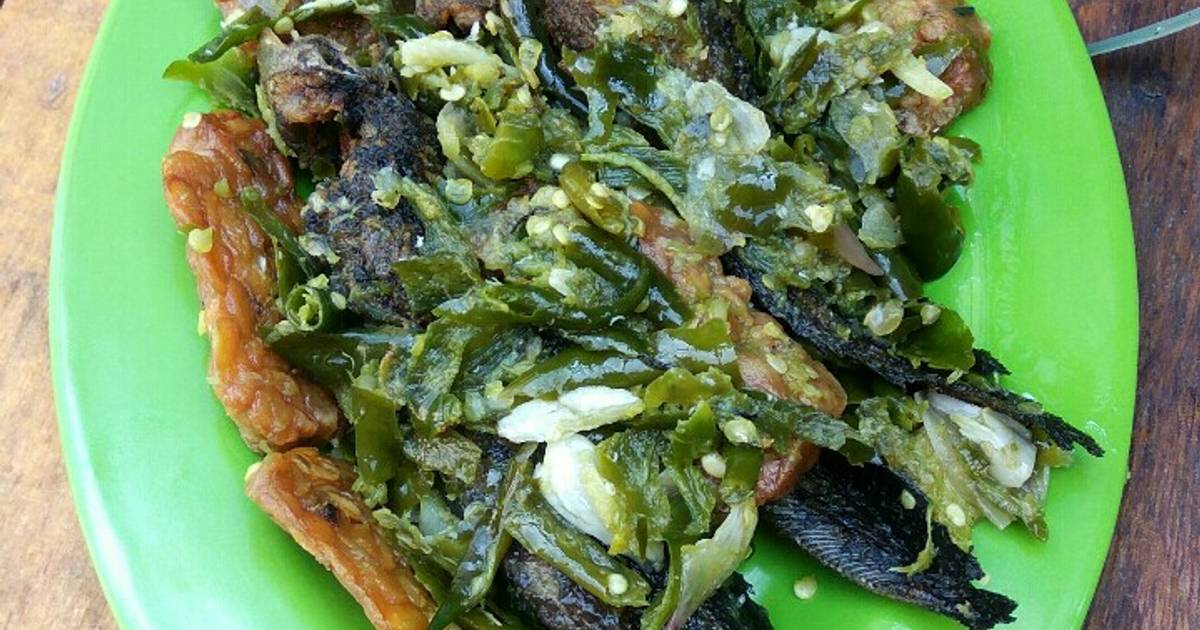 Resep Lele tempe lado hijau oleh BuAna - Cookpad