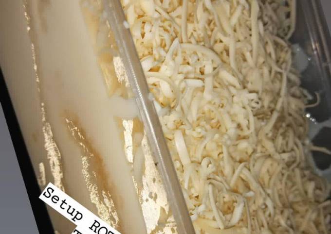 Resep Setup roti original topping keju full oleh ayunine99 - Cookpad