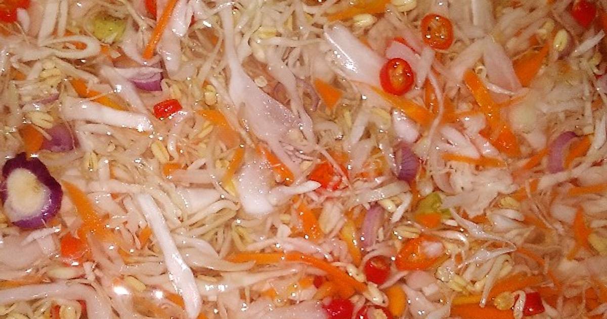 Resep Asinan Sayur Simple oleh Ghendis13_ - Cookpad