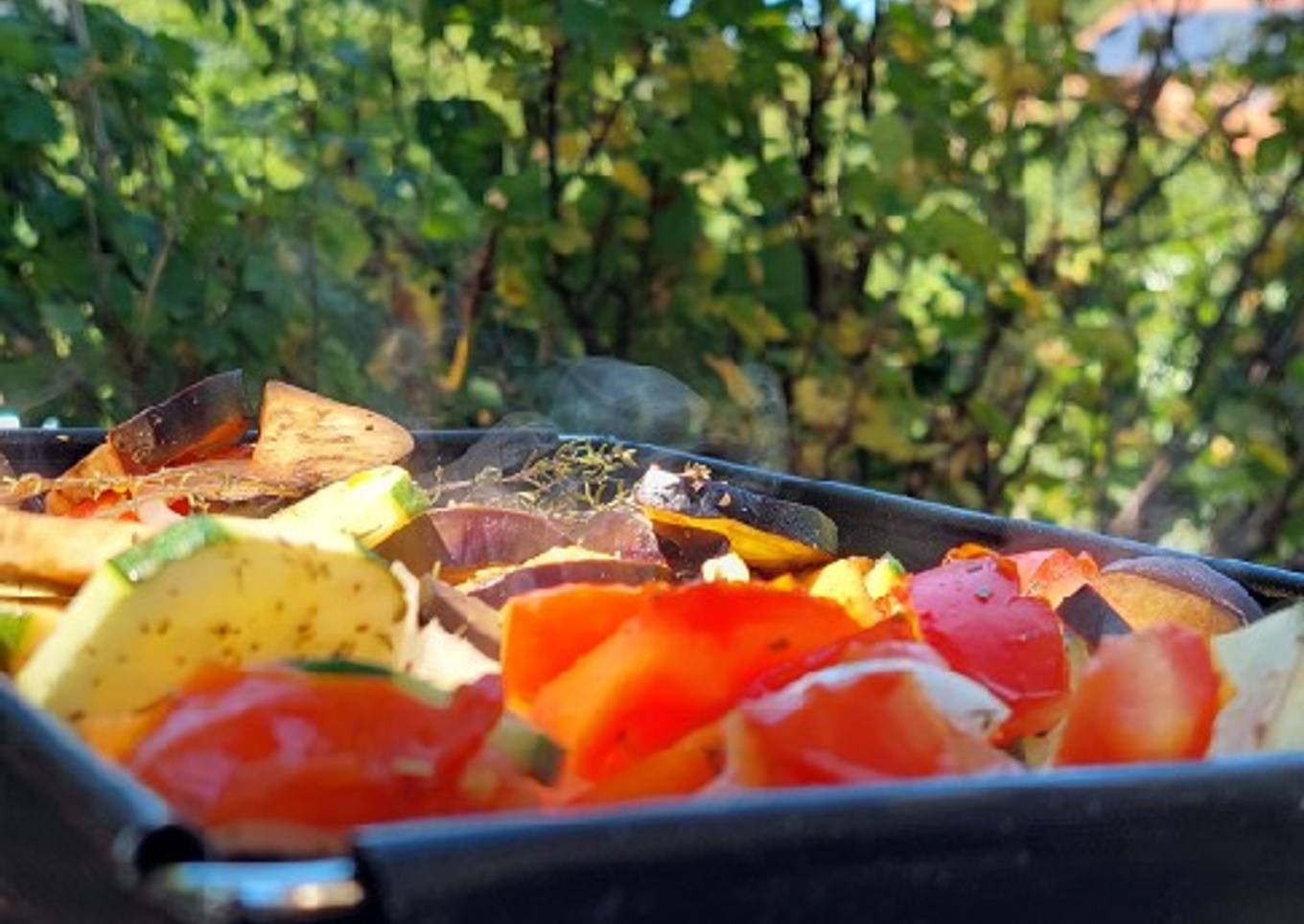 Légumes du soleil au barbecue