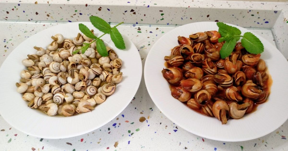 Cabrillas Con Tomate Y Caracoles Picantitos Receta de Mari J.- Cookpad