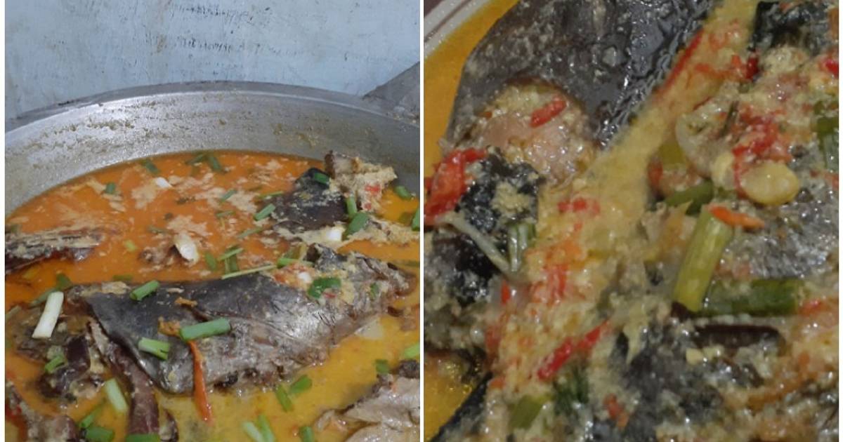 618 resep ikan manyung pedes enak dan mudah - Cookpad