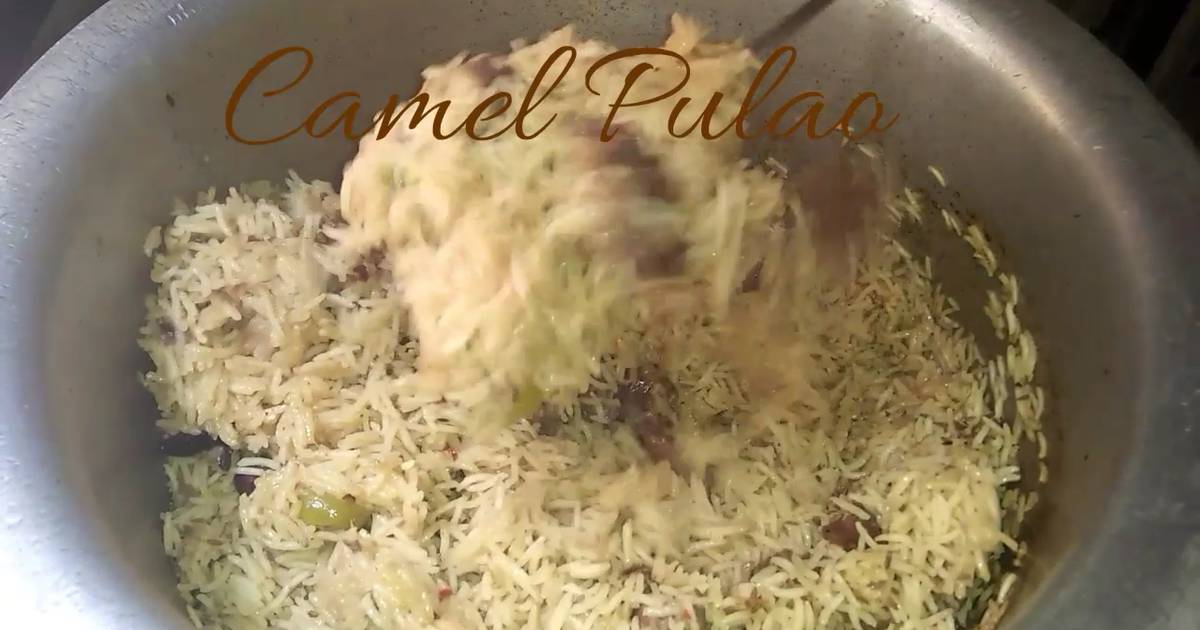 11 easy and tasty camel meat recipes by home cooks - Cookpad