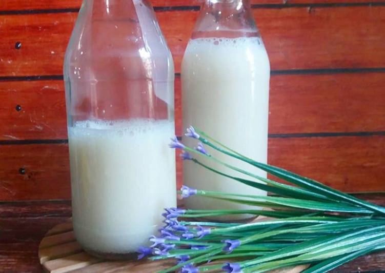 Resep Susu kedelai oleh Jhojho Kitchen - Cookpad Resep Susu kedelai oleh Jhojho Kitchen - Cookpad