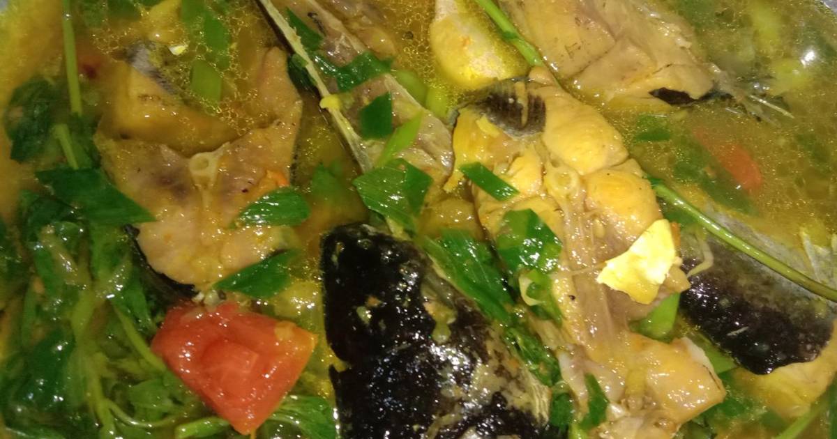 88 resep ikan manyung kuah enak dan mudah - Cookpad