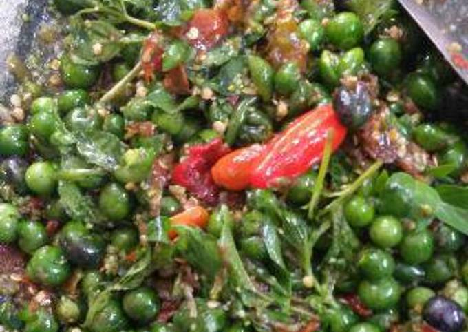 Resep Karedok Leunca oleh Noenk Mom Zafin - Cookpad