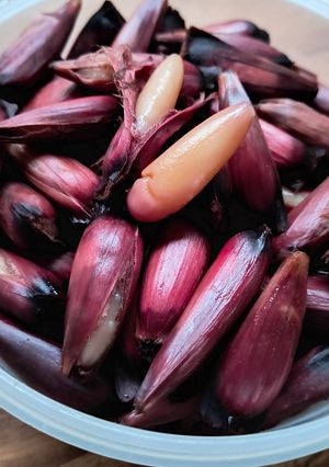 Piñones Cocidos En Olla A Presión Receta de Paola- Cookpad