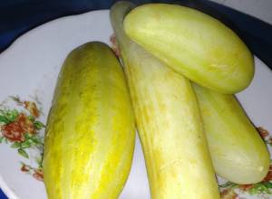 185 resep timun krai rebus enak dan mudah - Cookpad