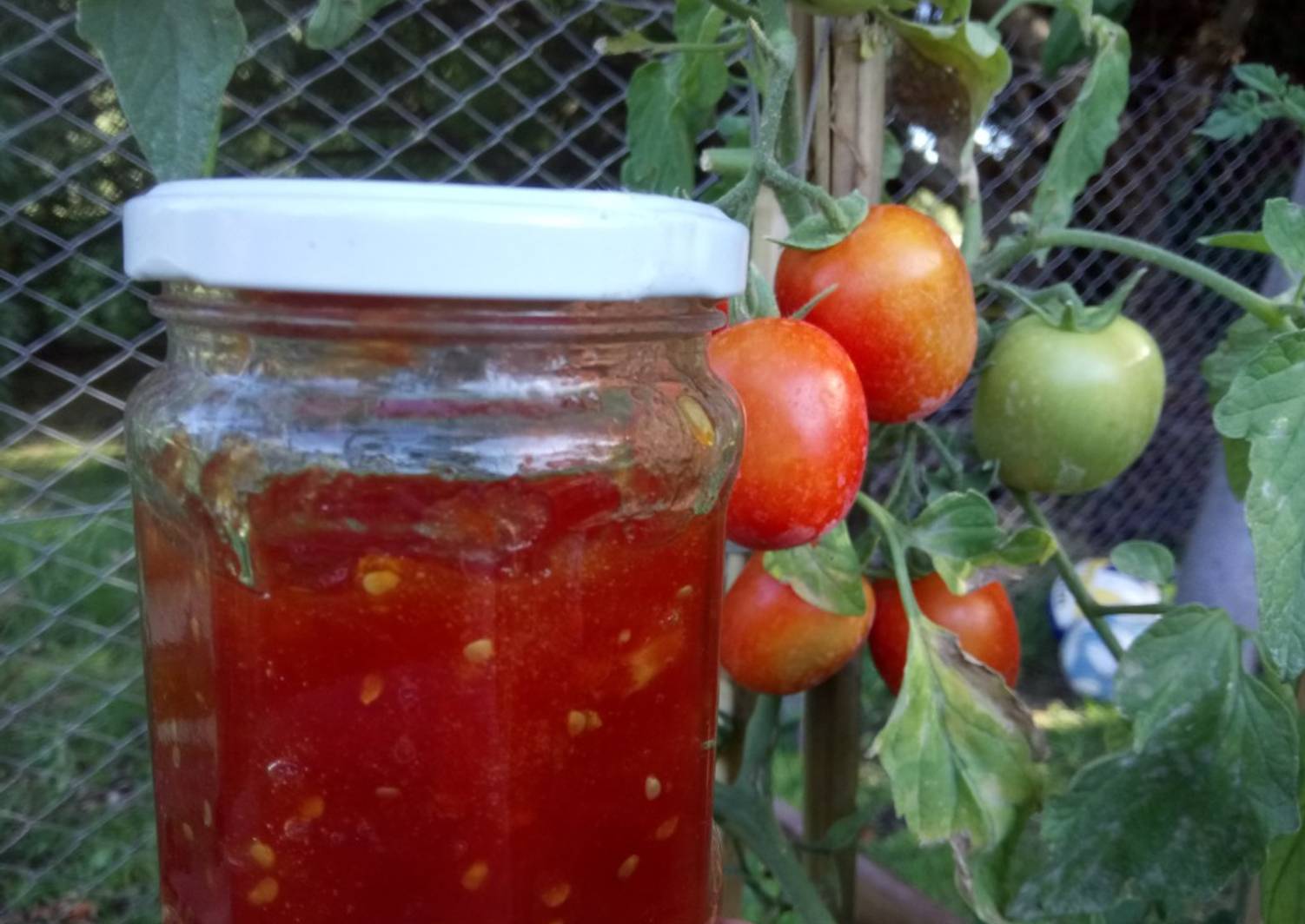 Mermelada de tomate perita Receta de Leopoldo Achaga - Cookpad