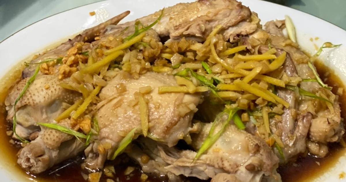 Resep Ayam rebus Pek Cam Kee oleh Nova olla - Cookpad