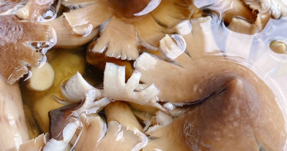 สูตร เห็ดปลวกต้มเค็ม / Salted Termite Mushroom Soup 🍄/ เห็ดโคนต้มเค็ม 🍄 ...